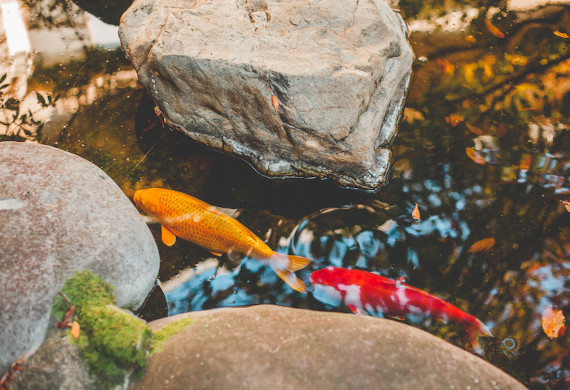 Jordan and Nitasha News June 2023