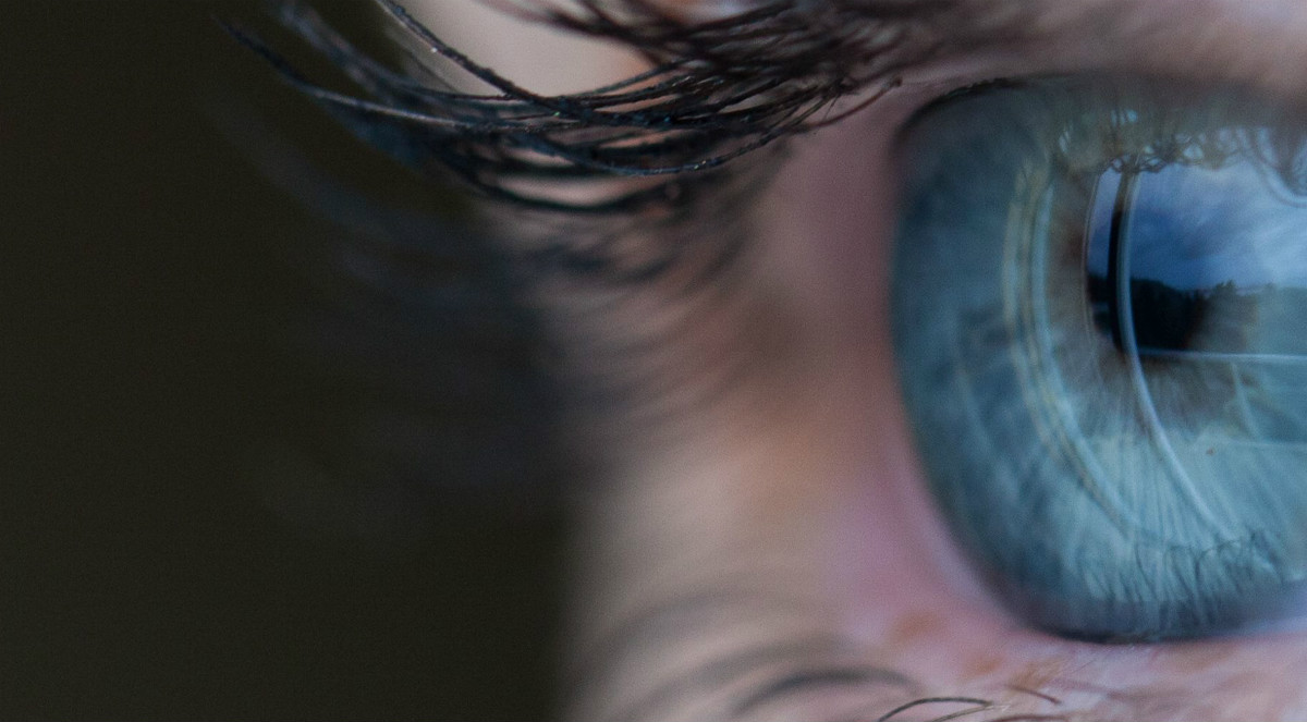 Eyes of honor